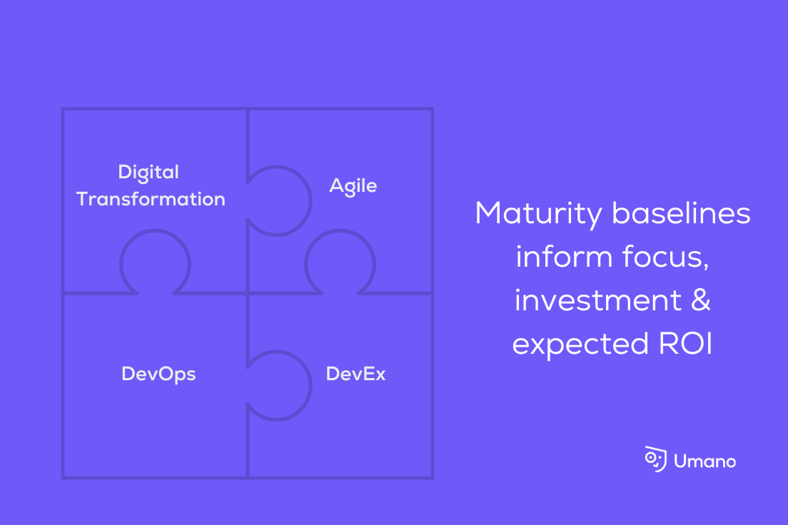 Assessing Digital Transformation, Agile, DevOps, and DevEx Maturity: A Practical Guide